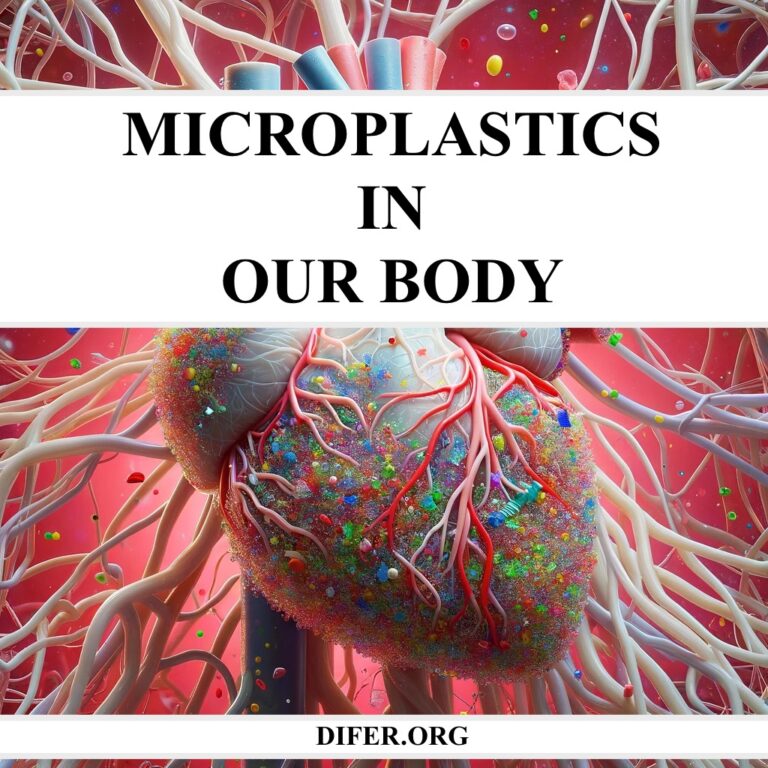 Microplastic in Our Body – DIFER.ORG