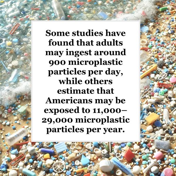 Facts about Microplastics – DIFER.ORG