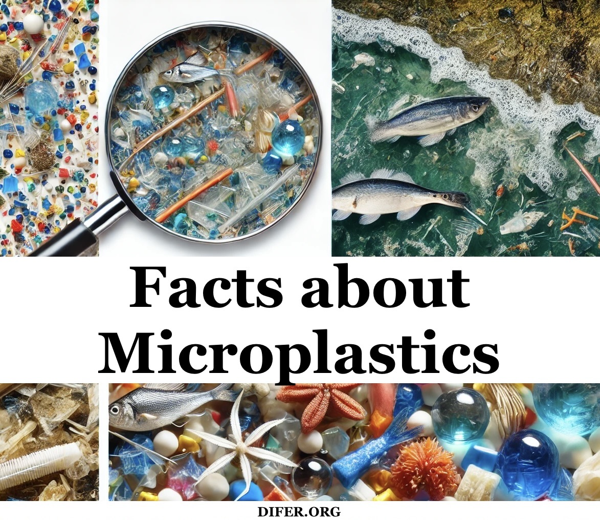 Facts about Microplastics – DIFER.ORG
